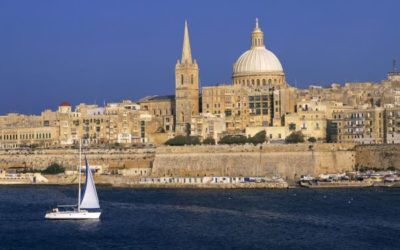 Le Petit Maltais - Le guide qui vous bichonne